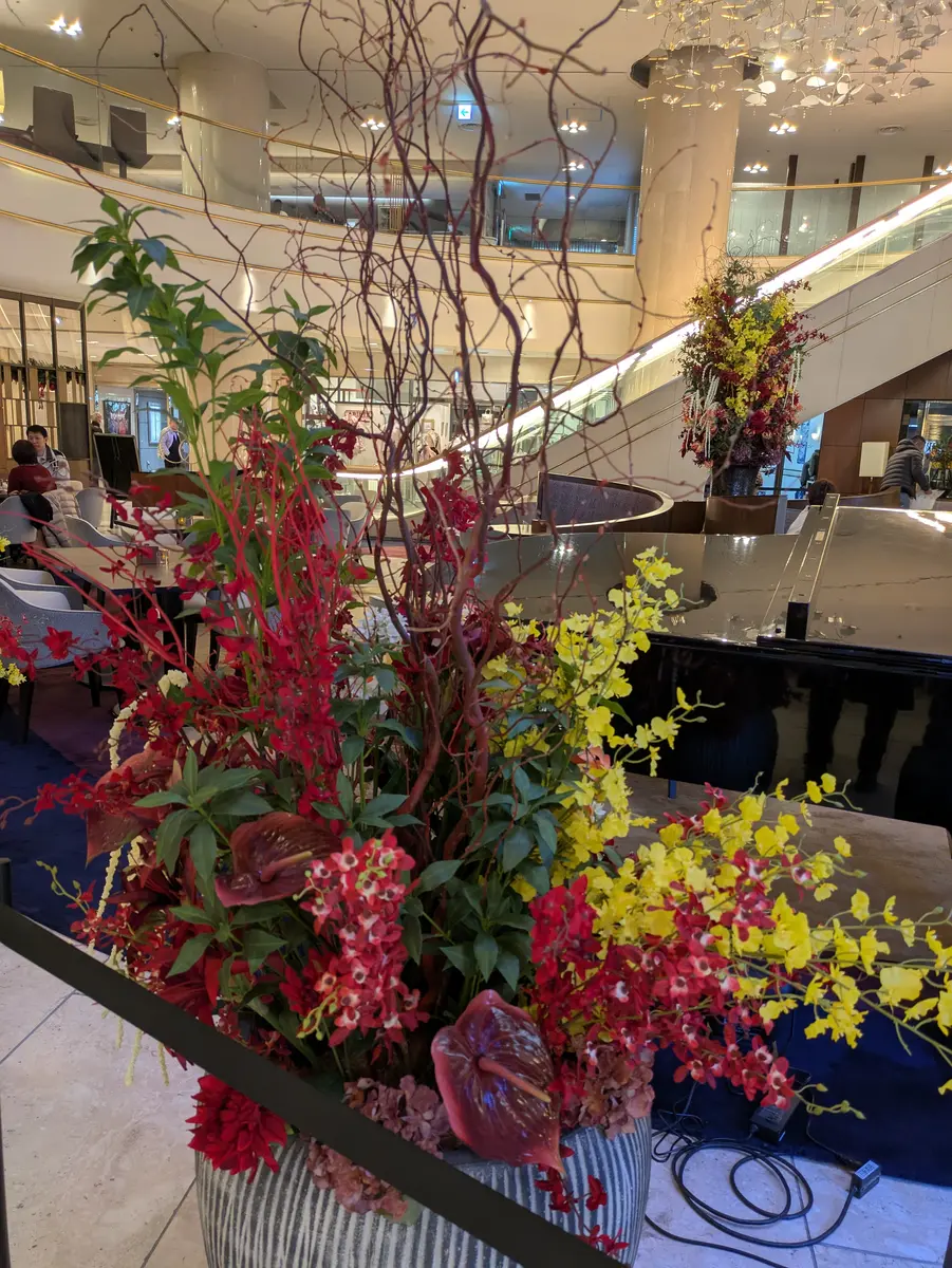 ホテルのロビーのクリスマスアレンジ主...「2025うちの花じゃないけど」のアルバム-みんなの趣味の園芸2582947
