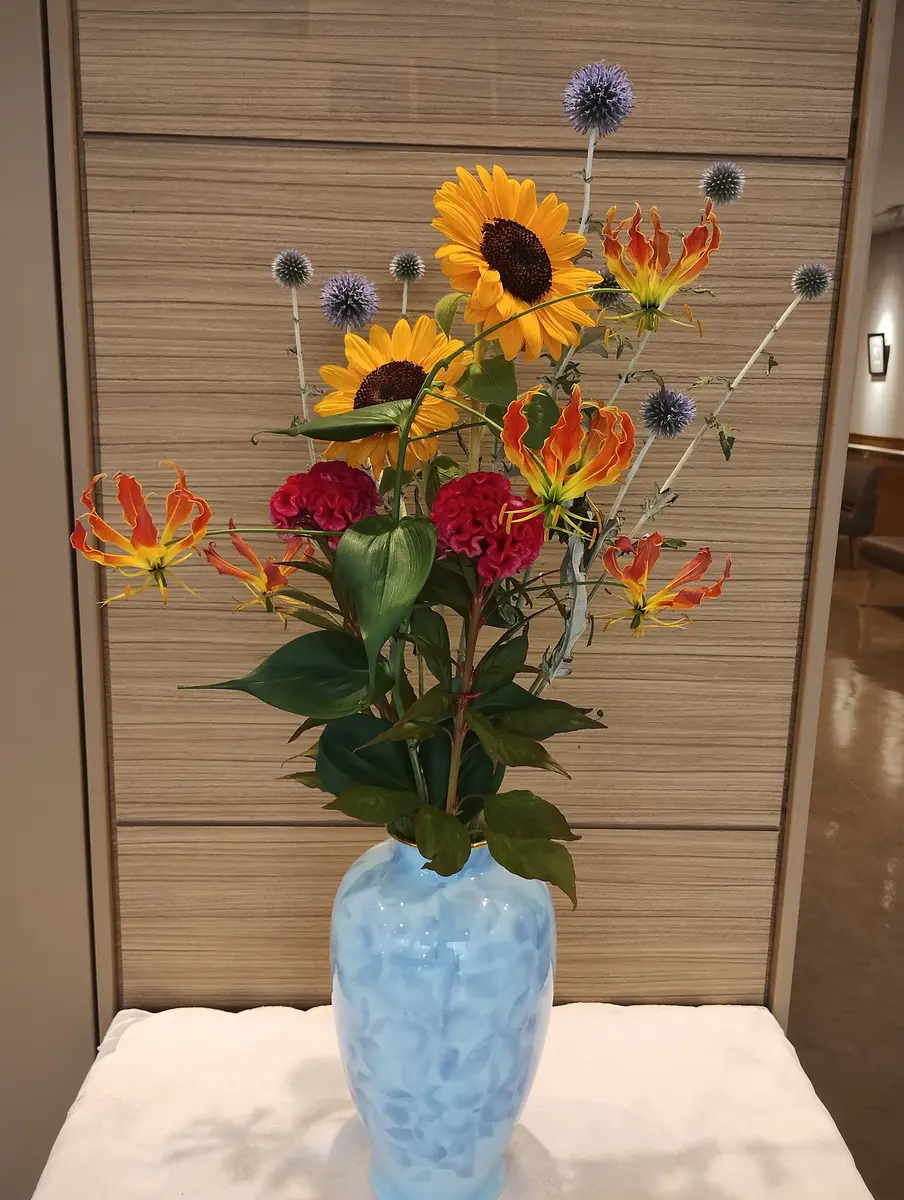 生け花ヒマワリグロリオサケイトウ...「ガーデニング2025」のアルバム-みんなの趣味の園芸2501500