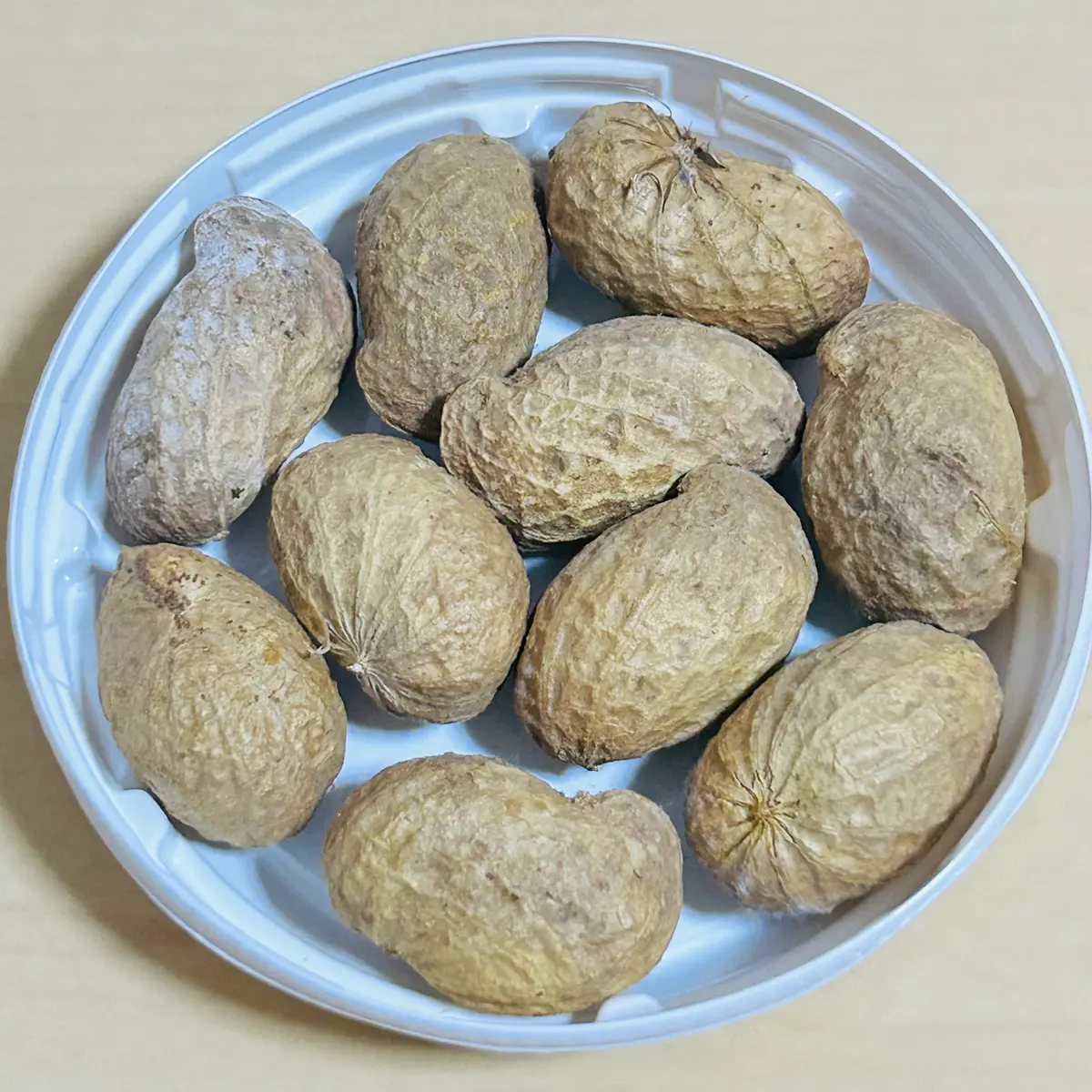 落花生のキッチンペーパー蒔きスタート🎵｜園芸日記bymasaさん｜みんなの趣味の園芸｜1313636