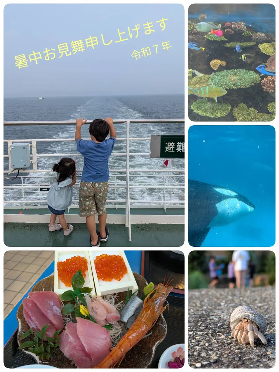 初めて見るお花〔写真3枚目〕-相模のすずめさんの日記｜みんなの趣味の園芸2025/07/27