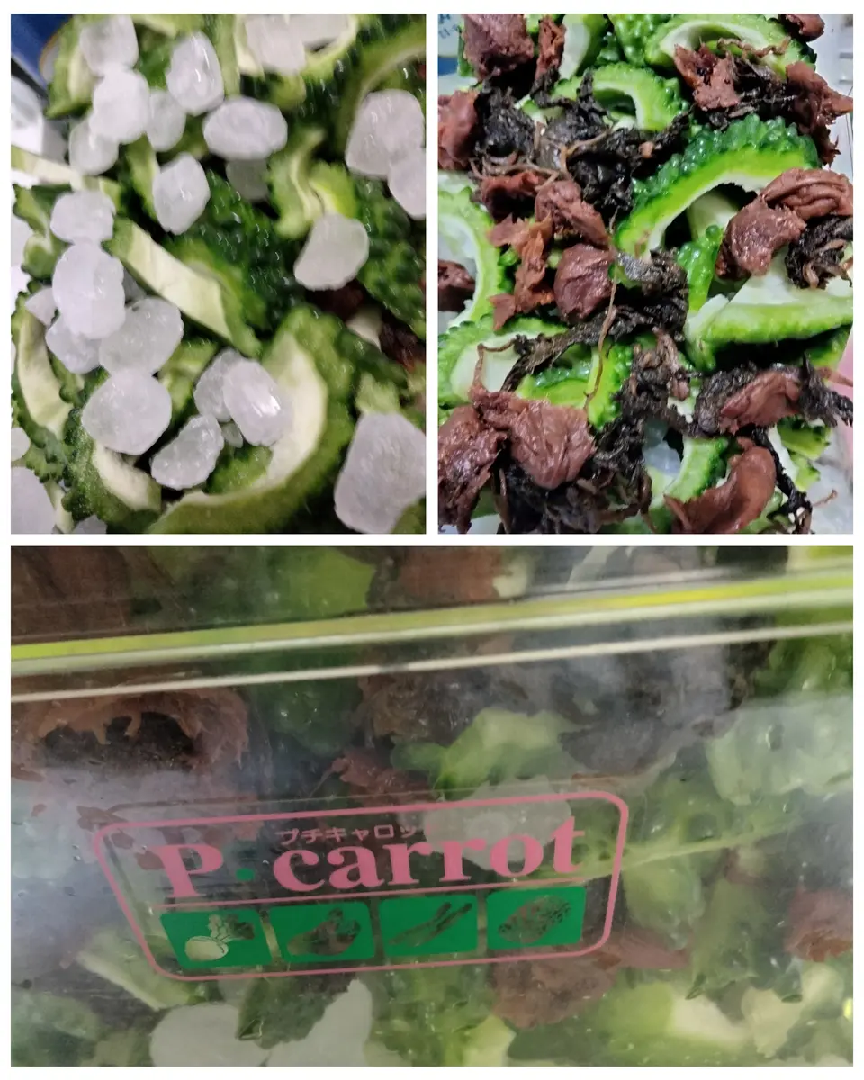 美味しいゴーヤ漬け ＆ 黒スズメバチの巣｜園芸日記byみきか｜みんなの趣味の園芸｜1373429