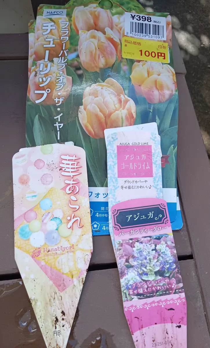 昨年はお世話になりました。｜園芸日記byちゃんえみ｜みんなの趣味の園芸｜1407735