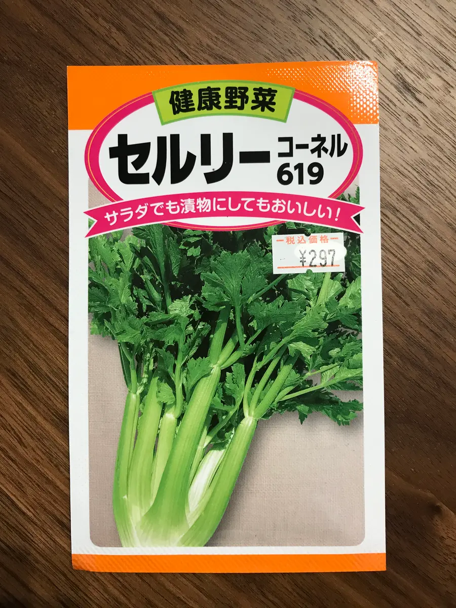 セロリ苗 20株 (セロリとは|育て方がわかる植物図鑑|みんなの セロリ苗 20株 (セロリとは|育て方がわかる植物図鑑|みんなの