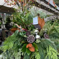 ハスの育て方・栽培方法|植物図鑑|みんなの趣味の園芸(NHK出版) ハスの育て方・栽培方法|植物図鑑|みんなの趣味の園芸(NHK出版)
